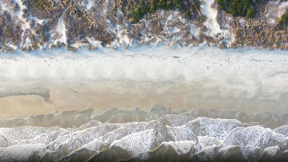 Featured - Chapman Hall Coastal Realtors